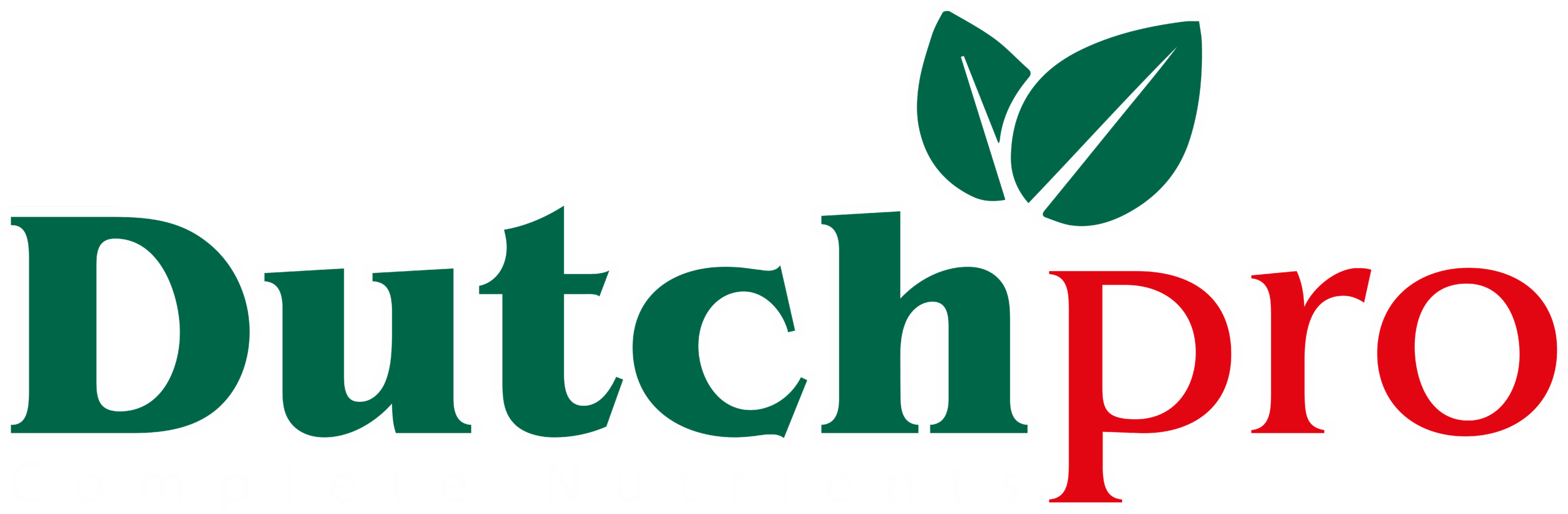 Artículos - Dutch pro